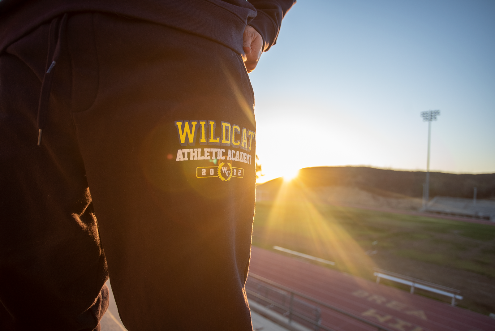 I Am Wildcat Official Merch || Powered by 3BLACKDOT®